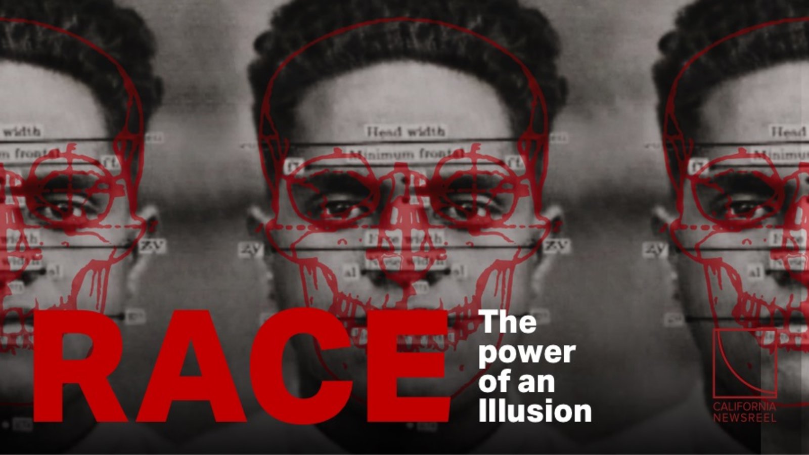 Conversation with Rev. Karlene Griffiths Sekou - Race: The power of an ...